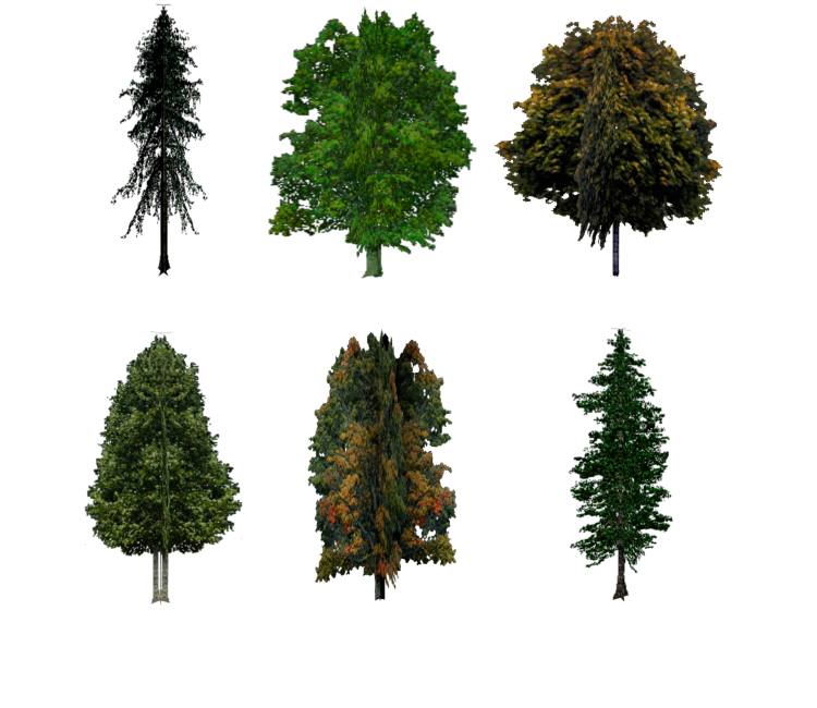 Ninja Minion - Despicable Me: Minion Rush - Mobile - The Models Resource