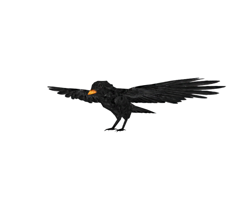 Researcher - Pokémon Colosseum - GameCube - The Models Resource