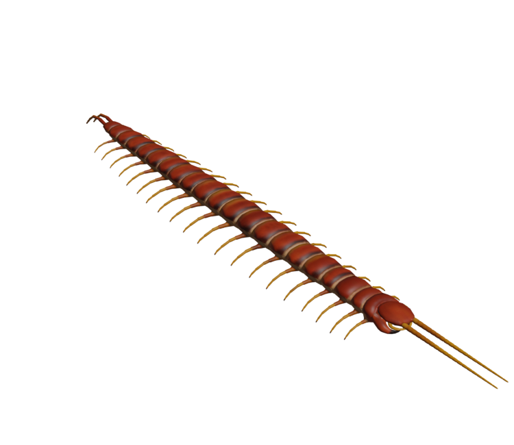 Aya (Normal Combat Uniform) - OneeChanbara Origin - PC / Computer - The ...