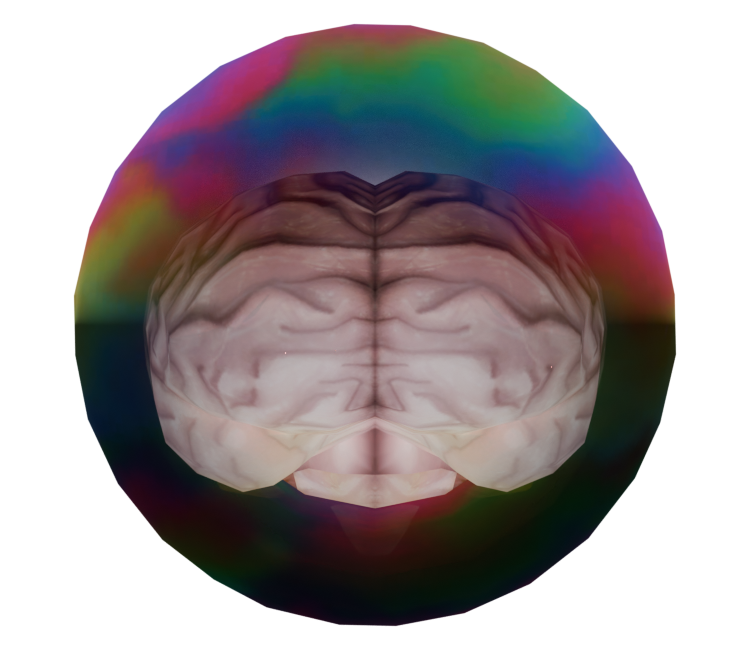 Straw Hat - Madagascar - GameCube - The Models Resource